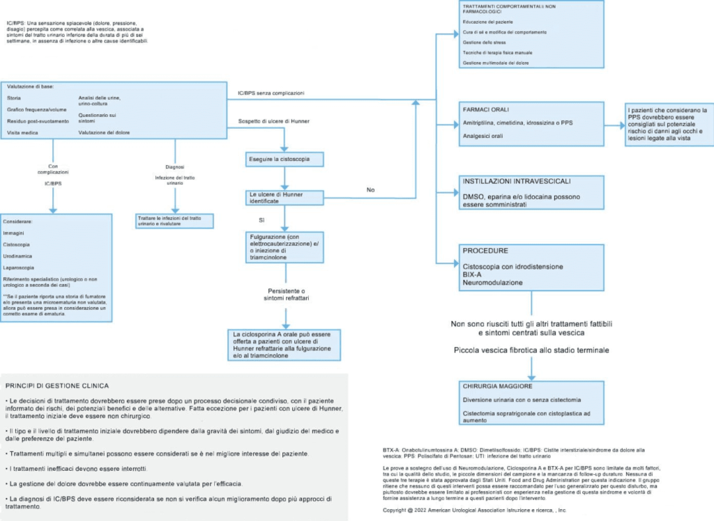 Cistite Interstiziale: Linee guida per una corretta diagnosi e un ...